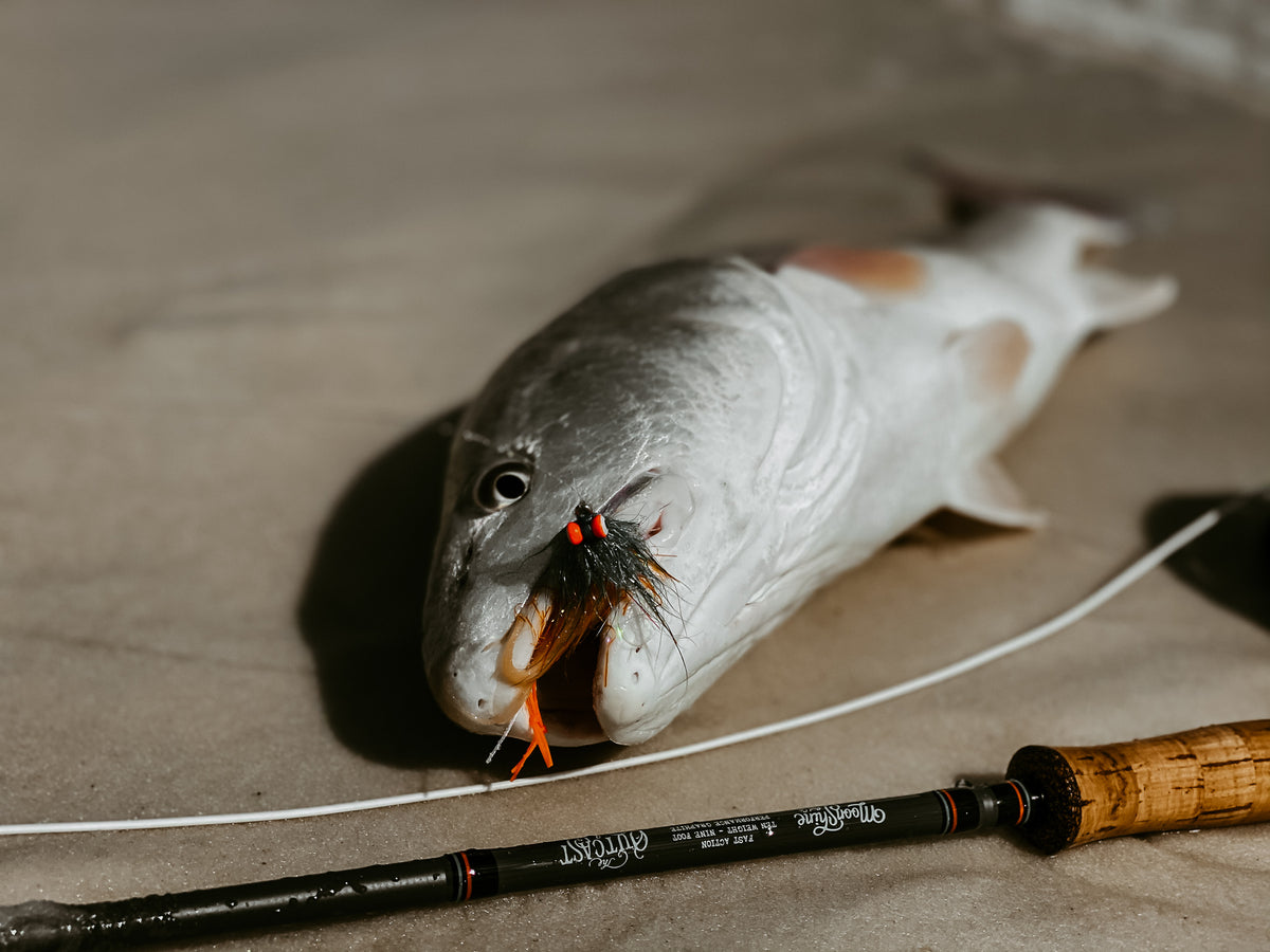 Drizzyyy Drake - 4 Pack – Lions Tale Merch